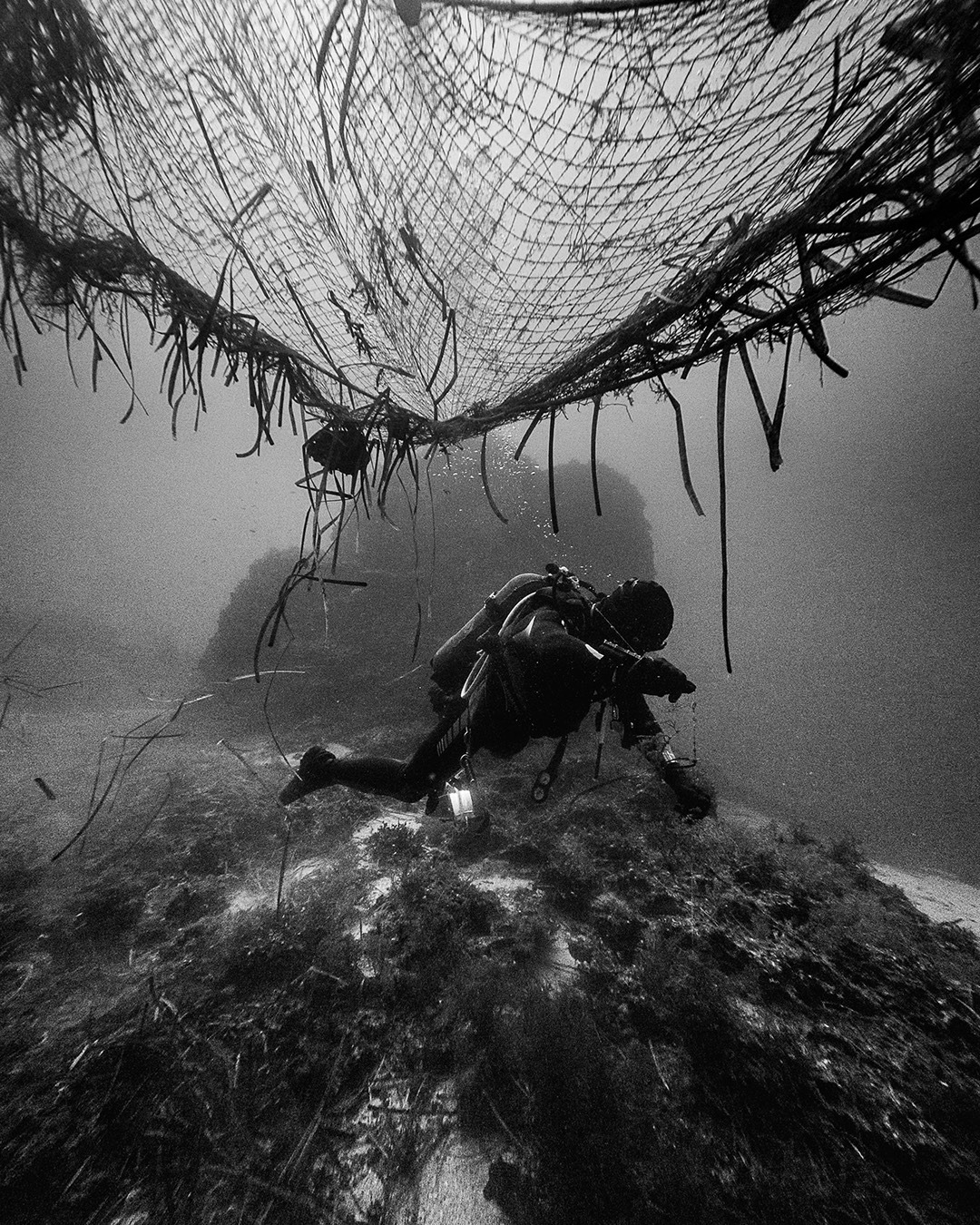 BeMed | Beyond Plastic Med