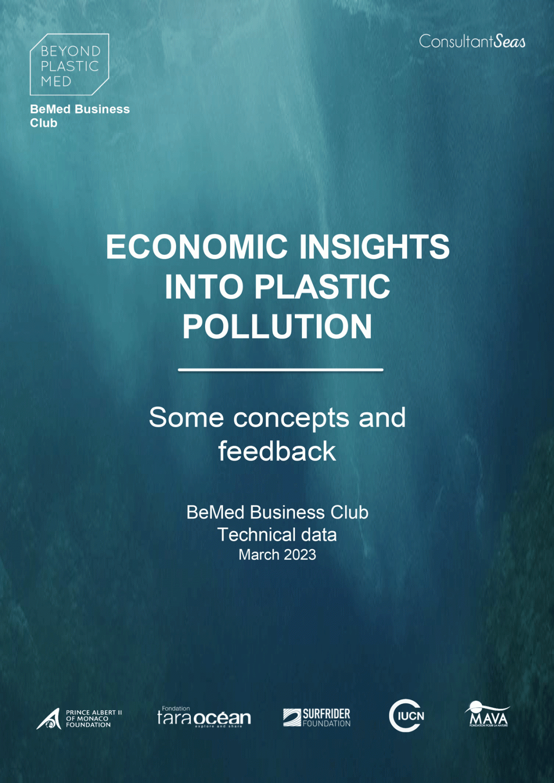 Technical sheet – Economic insight on plastic pollution : BeMed | Beyond Plastic Med